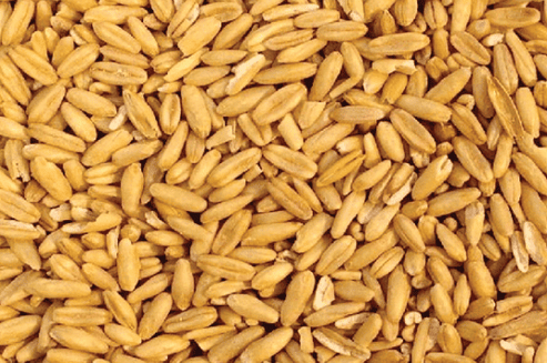 Hulled Oats
